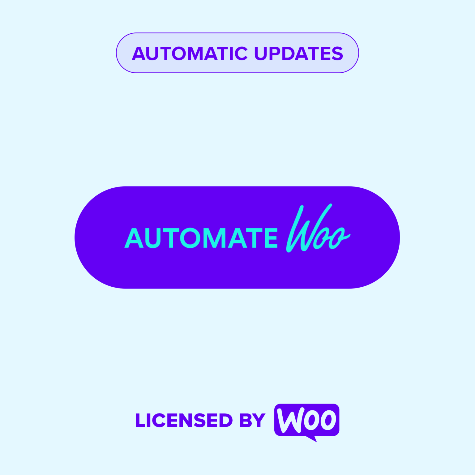 AutomateWoo - Plugins.ge